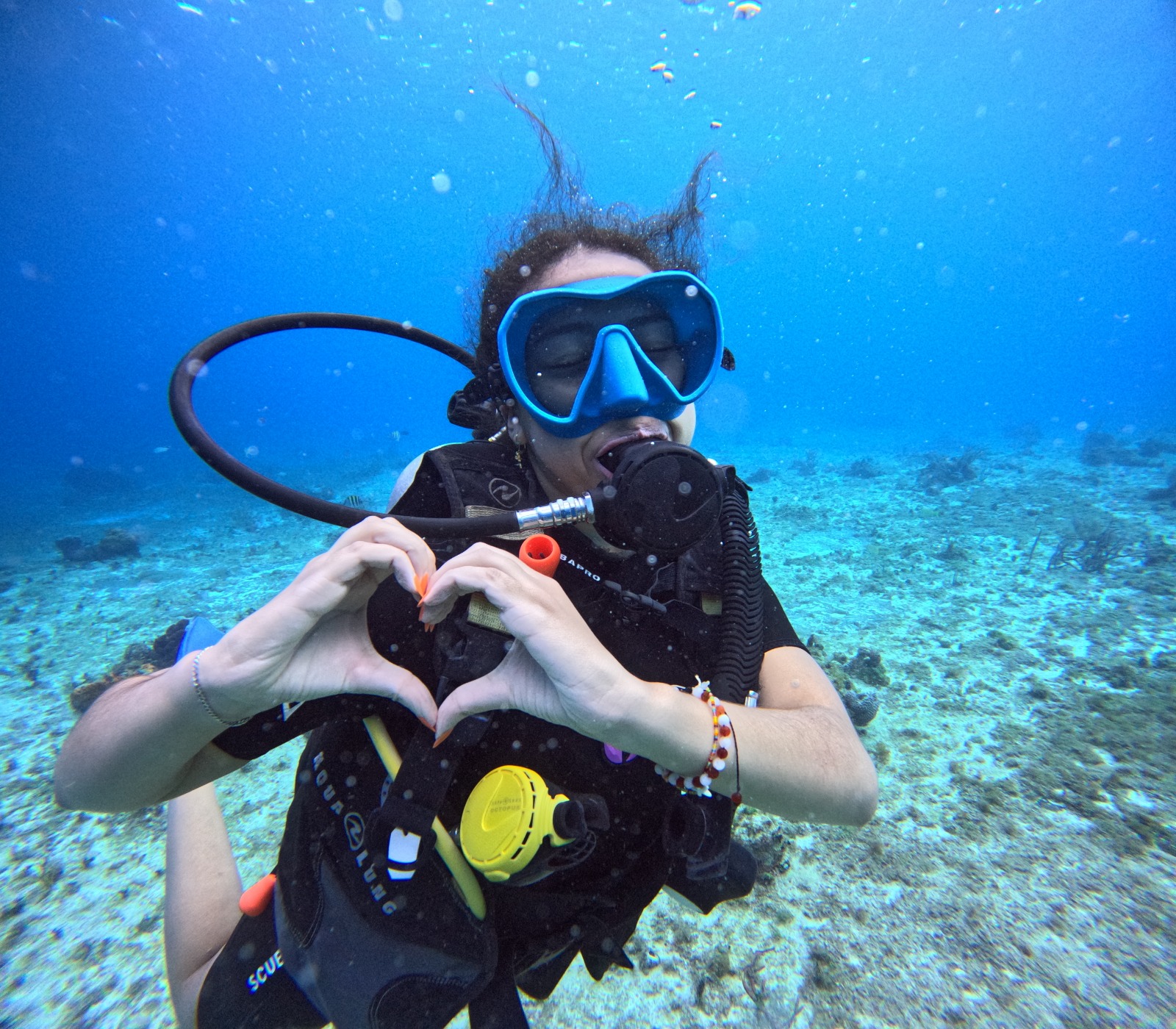 Social Diving Club Cozumel - SCUBA Diving Courses & Tours in Cozumel ...